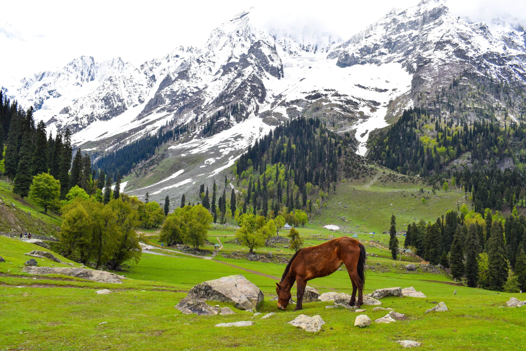 "Kashmir Valley – Explore the ‘Paradise on Earth’"